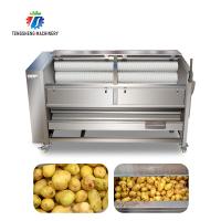 China 1500KG/H Sweet potato cleaning and peeling machine manufacturers supply brush peeling cleaning machine for sale