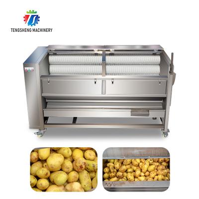 China 1500KG/H Sweet potato cleaning and peeling machine manufacturers supply brush peeling cleaning machine for sale