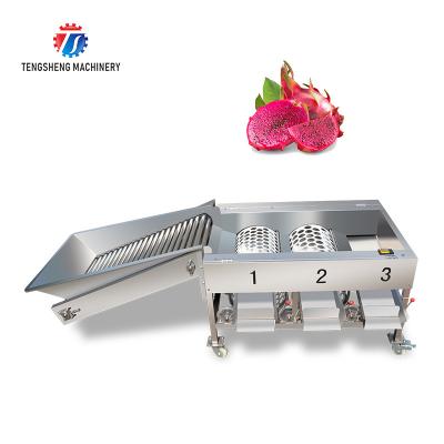 China 2.5KW Vegetable Fruit Sorting Machine Roller Barrel Grading equipment for sale