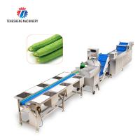 China 165MM Belt Industrial Vegetable Processing Machine Fruit Selection Washing Cutting Machine for sale