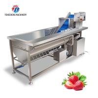 China 180KG Multifunctional vegetable washing machine eddy current washing machine stainless steel material for sale