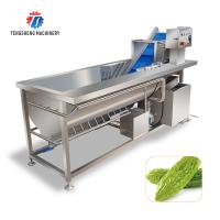 China 180KG Vegetable apple multi-function air bubble cleaning machine Eddy current fruit and vegetable cleaning machine for sale