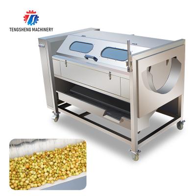 China 1500KG/H Agricultural products equipment, root and stem peeling cleaning machine, horseshoe cleaning and mud removal mac for sale