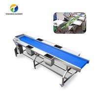 China Meat Vegetable Fruit Sorting Table Food Machine SS304 Z Type Structure for sale