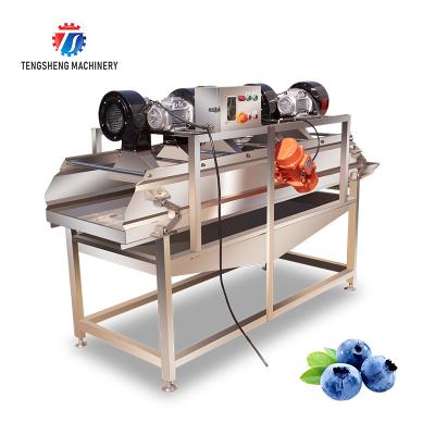 China Stainless Steel Vegetable Processing Machine 4.25KW Fruit Air Dryer for sale
