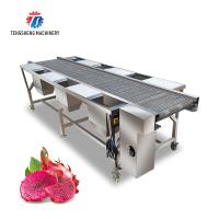 China Fruit And Vegetable Production Line Multi Station Selection Cutting Conveyor Table for sale