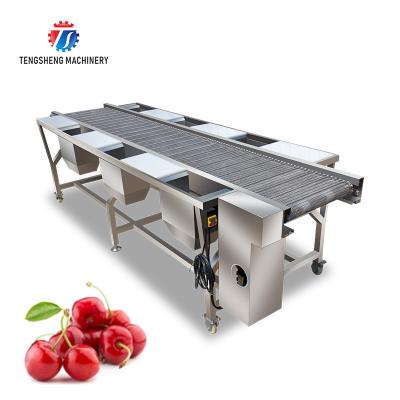China Customized Vegetable Processing Machine Fruit Sorting Table for sale