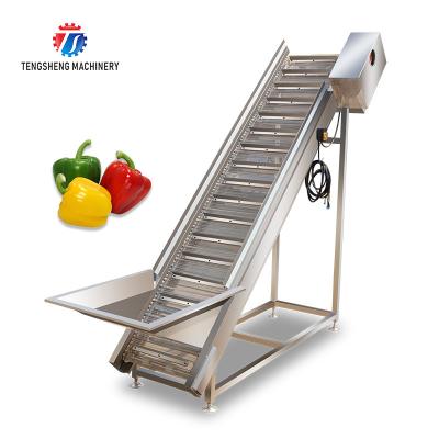 China Commercial Electric Vegetable Elevator Machine Food Processor for sale