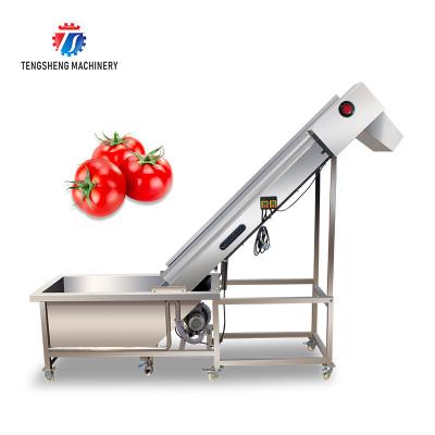 China 0.375KW Industrial Vegetable Processing Machine Citrus Passion Fruit Pre - Foaming Elevator Machine for sale