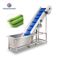 China Lifting and conveying of fruit and vegetable pre-foaming materials for supporting equipment of operation line for sale