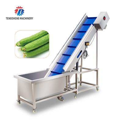China Lifting and conveying of fruit and vegetable pre-foaming materials for supporting equipment of operation line for sale