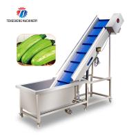 China Electric Vegetable Orange Pre - Foam Elevator Machine for sale