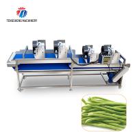 China 350KG Fruit and vegetable food air drying line flip stainless steel air drying machine for sale