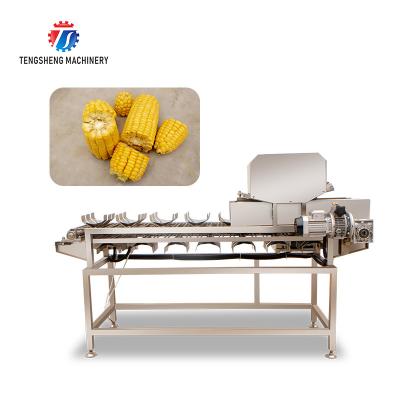 China 150KG 2.05KW Cut loofah pumpkin asparagus cucumber lettuce eggplant bitter melon melon for sale
