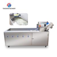 China Tengsheng Vegetable Cleaning Machine , Multi Directional Sundries Filter Spinach Washing Machine for sale