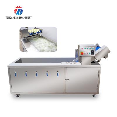 China Tengsheng Vegetable Cleaning Machine , Multi Directional Sundries Filter Spinach Washing Machine for sale