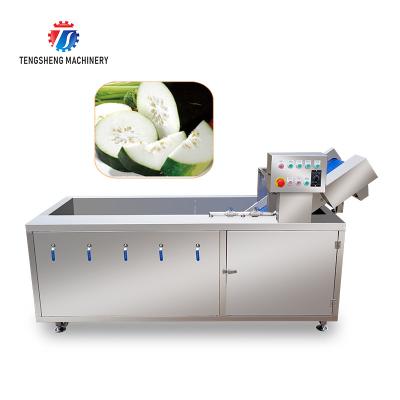 China Canteens Turbidity Reduce Fruit And Vegetable Washing Machine Sediment Discharge for sale