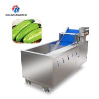 China Ozonation Hyperbaric Spraying Fruit And Vegetable Washing Machine SS for sale