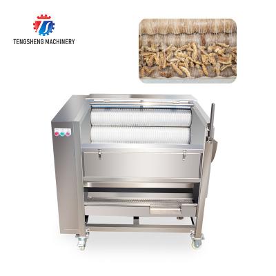 China 180KG Manufacturers R & D large, medium and small brush cleaning machine automatic stainless steel cleaning machine for sale