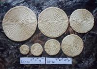 China Willow Industrial Grade Components - 250kg Load Capacity, 316 Stainless Steel Construction, -40°C to +120°C Operating Range for sale