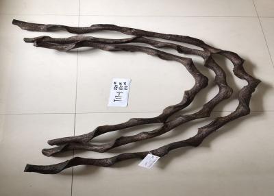 China Natural Tree Vine Material for Decorative Applications - 3-10 ft Lengths, 0.5-2 inch Diameter Range for sale