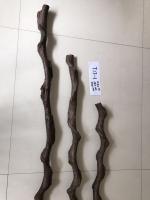 China Tree Vine Decorative Element - Natural Design for Interior & Event Decor - 650mm Width Options for sale
