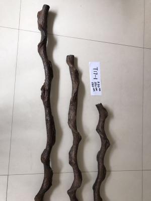 China Tree Vine Decorative Element - Natural Design for Interior & Event Decor - 650mm Width Options for sale
