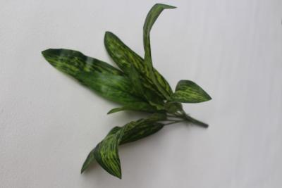 China Natural Leaves for Decoration and Crafts - 2-8 Inch Size Range, Bulk Packaging Options for sale