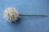 China Realistic Artificial Flowers UV Resistant Faux Silk Floral Arrangements for Home Wedding Decor 12 Stems for sale