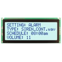 China NHD-0420E2Z-FSW-GBW for sale