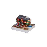 China SBTC-2-10+ for sale