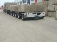 China Excavator Transport Low Bed Gooseneck Trailer With Hydraulic Expansion Ladder for sale