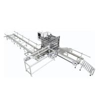China 1000L IBC Tank Cage Detection Line IBC Leakage Testing Machine for sale