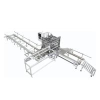 China IBC Grid Cage Frame Automatic Production Line, Full Automatic IBC Tank Leakage Testing Machine Line for sale