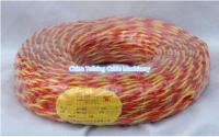 China top quality insulated conductor cable extruding machine line maker China factory tellsing for sale