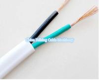 China top quality insulated conductor cable extruding machine line maker China factory tellsing for sale