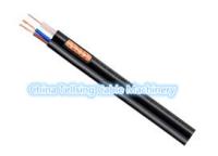 China top quality insulated conductor cable wire extrusion machine line China supplier tellsing for sale