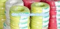 China top quality insulated conductor cable wire extrusion machine line China supplier tellsing for sale