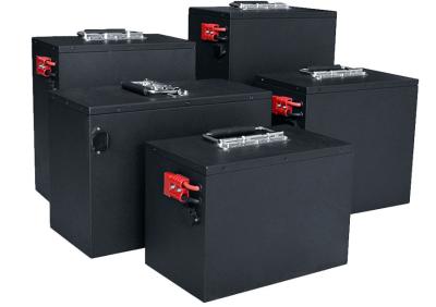 China 24v 48ah Lithium EV Battery Storage Battery Lifepo4 Lithium Ion Golf Cart Batteries Oem for sale