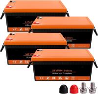 China Electric Bicycle RV Solar Deep Cycle Battery 12V 100Ah 150Ah 200Ah 300Ah Lithium LiFePO4 for sale