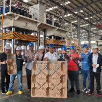 China Biodegradable Fiber Pallet Making Machine Price for sale