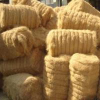 China Molded Presswood Coconut Pallet Manufacturing Machine 300 Pcs/Day for sale