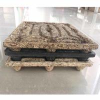 China Biodegradable Fiber Pallet Making Machine Price for sale