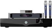 China U3-C110 5.1 Channel Wall-Mounted Home Cinema System Dual 2.75-inch Driver 180W Dynamic Power 110dB Output for sale