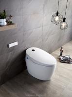 China Office Building Luxury Lower Cistern Eco Smart Automatic Intelligent Toilet with Adjustable Temperature and Tech Features for sale