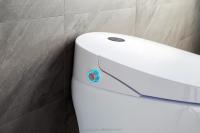China Office Building Luxury Lower Cistern Eco Smart Automatic Intelligent Toilet with Adjustable Temperature and Tech Features for sale