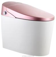 China Experience Ultimate Comfort with Modern Design Eco Smart Automatic Intelligent Toilet Heated Seat and Warm Air Dryer for sale
