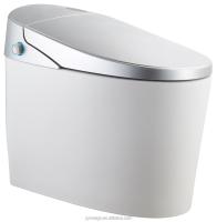 China Experience Ultimate Comfort with Modern Design Eco Smart Automatic Intelligent Toilet Heated Seat and Warm Air Dryer for sale