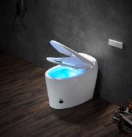 China Eco Smart Automatic Intelligent Toilet All in One OEM ODM Massage Washing Multi Function Modern Design Style for Bathroom for sale