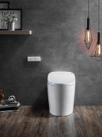 China One-Piece Toilet with Auto Flush Warm Water and Dry Rear Mode Eco Smart Automatic Intelligent Toilet All-in-One Toilet OEM for sale